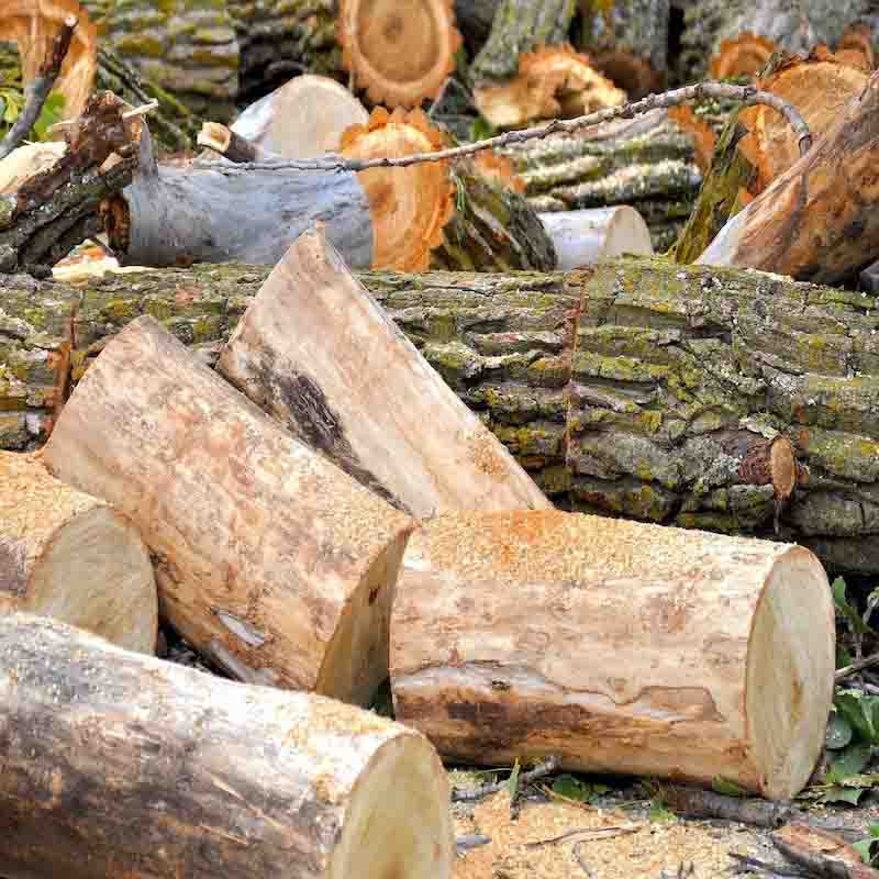 Tree Removal, Trimming, Stump Grinding Services Portland OR | Tree ...